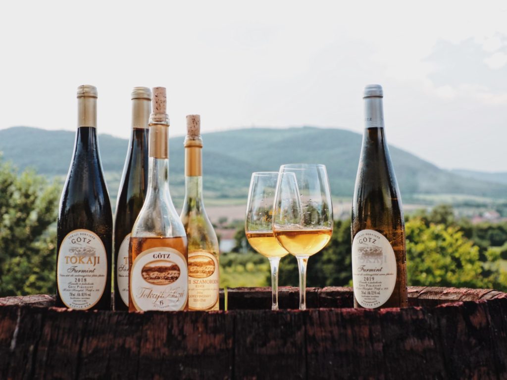 WĘGRY ŚLADAMI WINA - TOKAJ I OKOLICE - traveLover