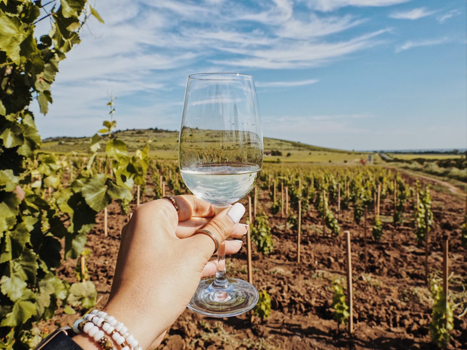 WĘGRY ŚLADAMI WINA - TOKAJ I OKOLICE - traveLover